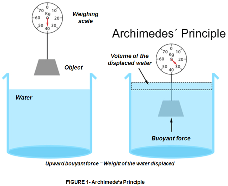The Science of Swimming: Floatation and Cold Water Challenges ...
