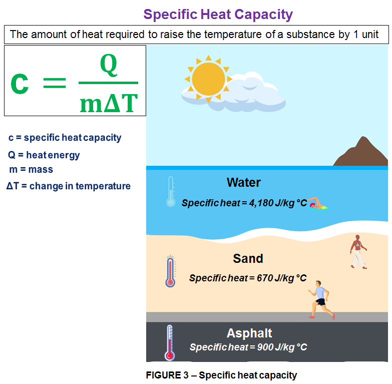 The Science of Swimming: Floatation and Cold Water Challenges ...