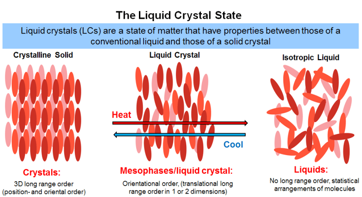 What Are Liquid Crystals? Insights into a Unique State of Matter ...